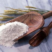China Nutrition Enhancers  CAS 8002-80-0 Organic Dry Vital Wheat Gluten Ingredients for sale