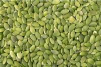 China 80 Meshe\S 60 Percent Organic Pumpkin Seed Protein Powder for sale