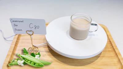 China High Viscosity Non GMO CAS 9064-67-9 Textured Pea Protein for sale