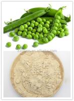 China Hypoallergenic 80 Mesh Concentrated Fermented Organic Pea Protein Isolate for sale