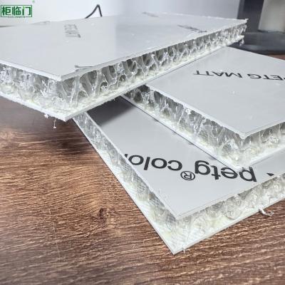 China Lightweight High Strength SPVC Honeycomb Panel Highly Cost Effective for sale