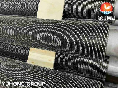 China ASTM A213 TP316L Serrated Finned Tube , For Petrochemical And Chemical Processing for sale