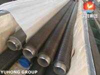 China High Frequency Welding Fin Tube with TP347H Base Pipe for Waste Heat Recovery System and High Temperature Resistance for sale