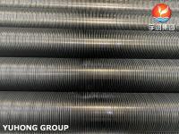 China ASTM A106 Gr B Seamless Carbon Steel Pipe With CS Fin Material HFW Solid Finnd Tube For Boiler And Heat Exchanger for sale