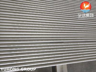 China ASTM A213 TP316L Stainless Steel Seamless Heat Exchanger Bundles Tubes for sale