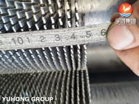 China Stainless Steel Seamless Pipe ASTM A312 TP304H Serrated Fin Tube For Furnace for sale