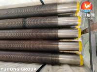 China ASTM A312 TP321H High Frequency Welded Finned Tubes CS Fins for Power Plant for sale