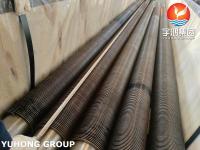 China ASTM A312 TP321H HFW Solid Finned Tube with Carbon Steel Fins for HRSGs for sale