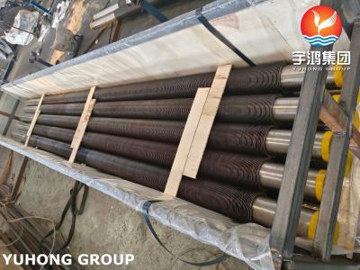 China ASTM A312 TP321H Solid Fin Tube for Heat Exchangers and HRSG System for sale