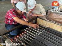 China HRSG Replacement Components Harps ASME SA213 T22 Serrated Fin Tube for sale