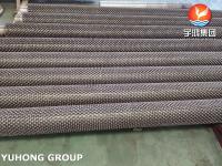 China ASTM A312 TP304L Stainless Steel Studded Fin Tube For Power Plant for sale