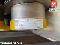 China ASTM A376 TP347H HFW Solid Finned Tube with Carbon Steel Fins For HRSGs for sale