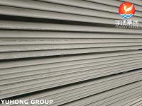 China ASTM B407 UNS N08810(800H) Nickel-Iron-Chromium Alloy Seamless Tube for sale