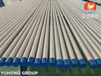 China ASTM A213 TP316L / 1.4404 Stainless Steel Seamless Tube Heat Exchanger Tube for sale