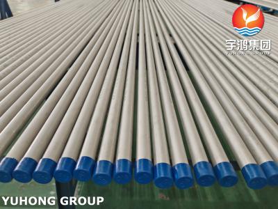 China ASTM A213 TP316L / 1.4404 Stainless Steel Seamless Tube Heat Exchanger Tube for sale