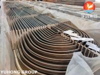 China ASTM A213 / ASME SA213 TP316L Stainless Steel Seamless Tube Heat Exchanger U Bend Tube for sale