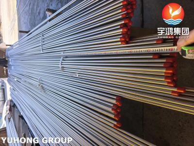 China ASTM A269 TP316L BA Tube Bright Annealing Tubing Stainless Steel Heat Exchanger Tube for sale