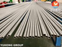 China ASTM A213 TP310S / 1.4845 / S31008 Stainless Steel Seamless Tube Heat Exchanger Tube for sale