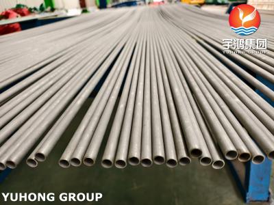 China ASTM A213 TP310S / 1.4845 / S31008 Stainless Steel Seamless Tube Heat Exchanger Tube for sale