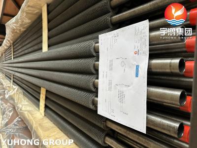 China ASTM A213 T22 Helical Serrated Fin Tube with SS409 Fins For Refinery Heat Exchanger for sale