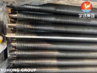 China ASME SA179 L Type Finned Tube with Al1060 Fins For Industrial Boilers & Economizers for sale