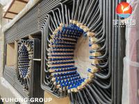 China EN 10216-2 16Mo3 Alloy Steel Boiler Tube U Bend Tube Seamless Steel Boiler Tube for Economizers for sale