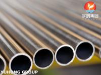 China ASTM A789 UNS S32205 Duplex Stainless Steel Heat Exchanger Tube Duplex 2205 Seamless Tube for sale