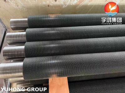 China Serrated Finned Tubes ASTM A312 TP304H For High Operating Temperature 500℃ for sale