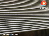 China ASTM A213 UNS S32100 / TP321 Stainless Steel Tube EN 1.4541 Heat Exchanger Tube for sale
