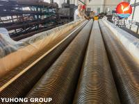 China ASTM A269 TP321 High-Frequency Welded Finned Tube for Waste Heat Boilers for sale