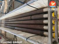 China ASTM A312 TP321H High-Frequency Welded Finned Tube for Waste Heat Boilers for sale