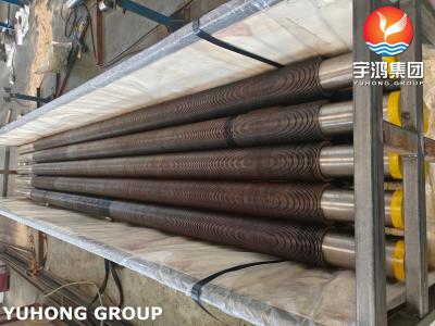 China ASTM A312 TP321H High-Frequency Welded Finned Tube for Waste Heat Boilers for sale