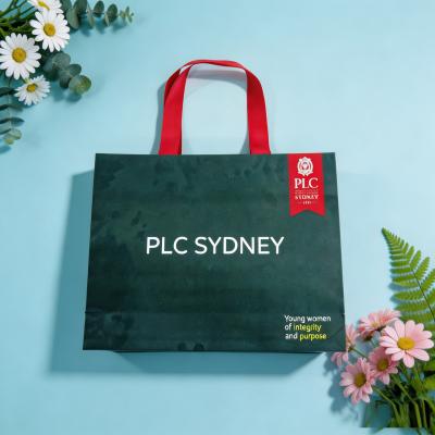 China Large Grocery Paper Bag Wide Opening FSC Side Gusset Sturdy for Vegetable, Fruit, Grocery for sale
