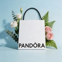 China Premium Jewelry Paper Shopping Hand Bags Luxury Durable Handle Foil Stamping for Rings, Bracelet, Necklace for sale