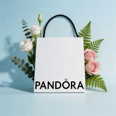 China Premium Jewelry Paper Shopping Hand Bags Luxury Durable Handle Foil Stamping for Rings, Bracelet, Necklace for sale