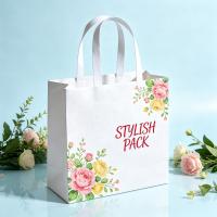 China Sustainable Paper Hand Bag Matte Laminated Foil Stamping Reinforced for Apparel, Cosmetic Store for sale