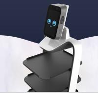 China BBQ DC 48V Restaurant Service Robot That Deliver Food 4G Bluetooth for sale