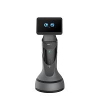 China Hotel Welcome Mobile Service Robot Company Reception Remotely Controlled Robot for sale