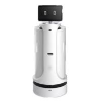 China Automatic UV and Spraying Disinfection AI Sterilizer Robot could OEM for sale