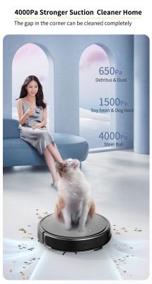 China WiFi 250ml Intelligent Sweeping Robot Vacuum Pet Mopping Machine robotics product for sale