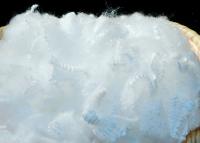 China Raw White Cationic Dyeable Polyester Staple Fiber 1.4D 38mm Virgin for sale