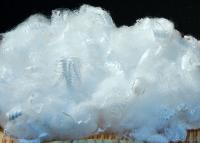 China Virgin CDP Cationic Polyester Fiber Low Melt Bi-Component 1.4D 38mm for sale