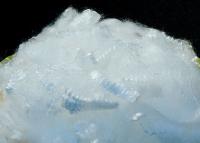 China Cationic Polyester Fiber 1.4D 38MM Anti Distortion for sale