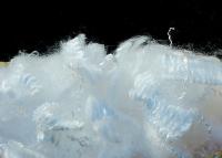 China 100% 1.4d 38mm Ecdp Virgin Polyester Staple Fiber ECDP PSF For Cationic Yarn for sale