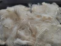 China Chemical Resistant Aramid Staple Fiber 51mm 2.2dtex Heat Insulation for sale