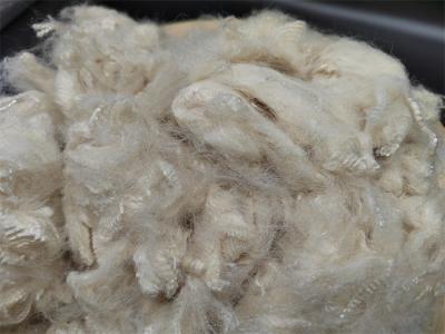 China 2D High Tenacity Aramid Staple Fiber 51mm 64mm for Air Filtration for sale