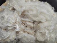 China High UV Resistance Aramid Staple Fiber 2D Diameter 51mm Length Abrasion Resistant for sale