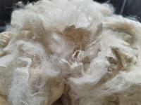 China High Melting Point Aramid Staple Fiber 2D 51mm High UV Resistance for Industrial Use for sale