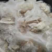 China Fire Retardant Aramid Staple Fiber 2D 51mm for Protective Clothing for sale