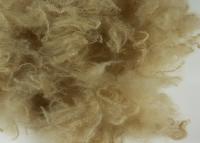 China 8D*51MM 100% Recycled Pet Bottle Polyester Staple Fiber for sale
